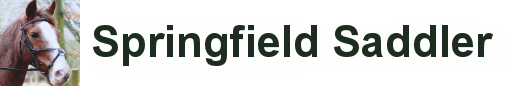 Springfield Saddler - Professional bridlework - Bridle Fitting ...